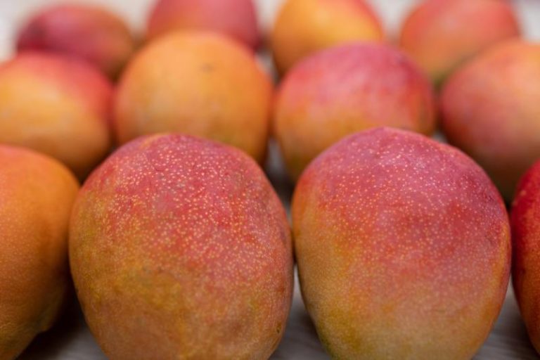 Are Mangoes Acidic? Full Guide to Mango Acidity