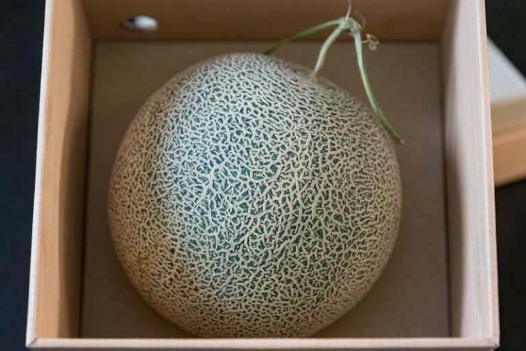 Exploring the Acidity of Melons: A Surprising Truth